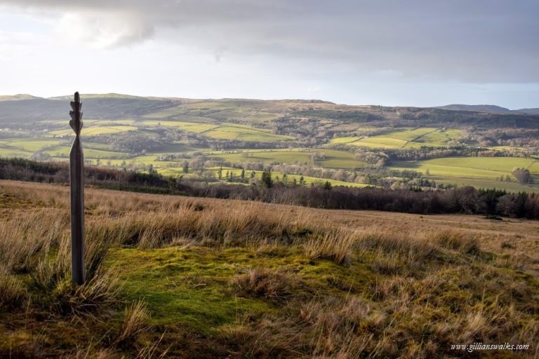 Walk 204 - Bargany Gardens, near Girvan - Gillian's Walks
