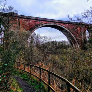 River Ayr Way - Gillian's Walks