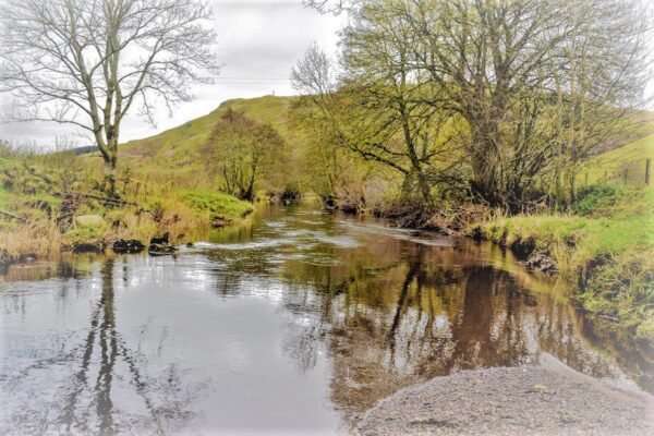Walk 204 - Bargany Gardens, near Girvan - Gillian's Walks