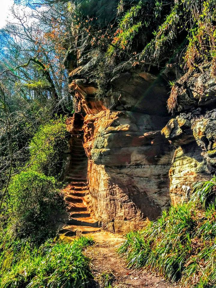 Walk 57 - Peden's Cove, Failford - 2 miles - Gillian's Walks