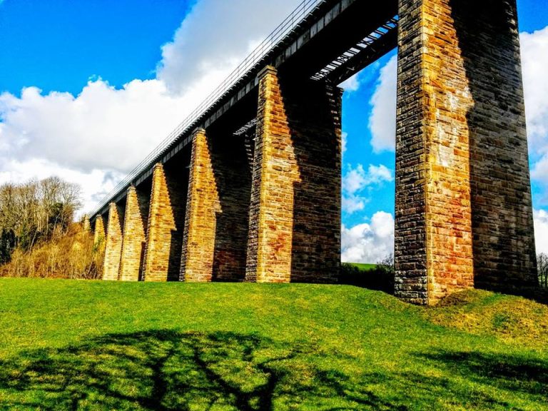 River Ayr Way - Gillian's Walks