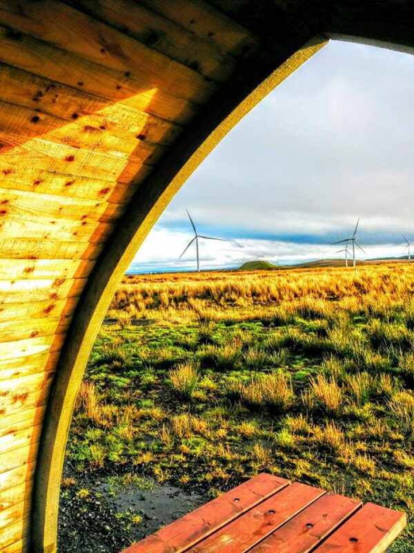 Walk 204 - Bargany Gardens, near Girvan - Gillian's Walks