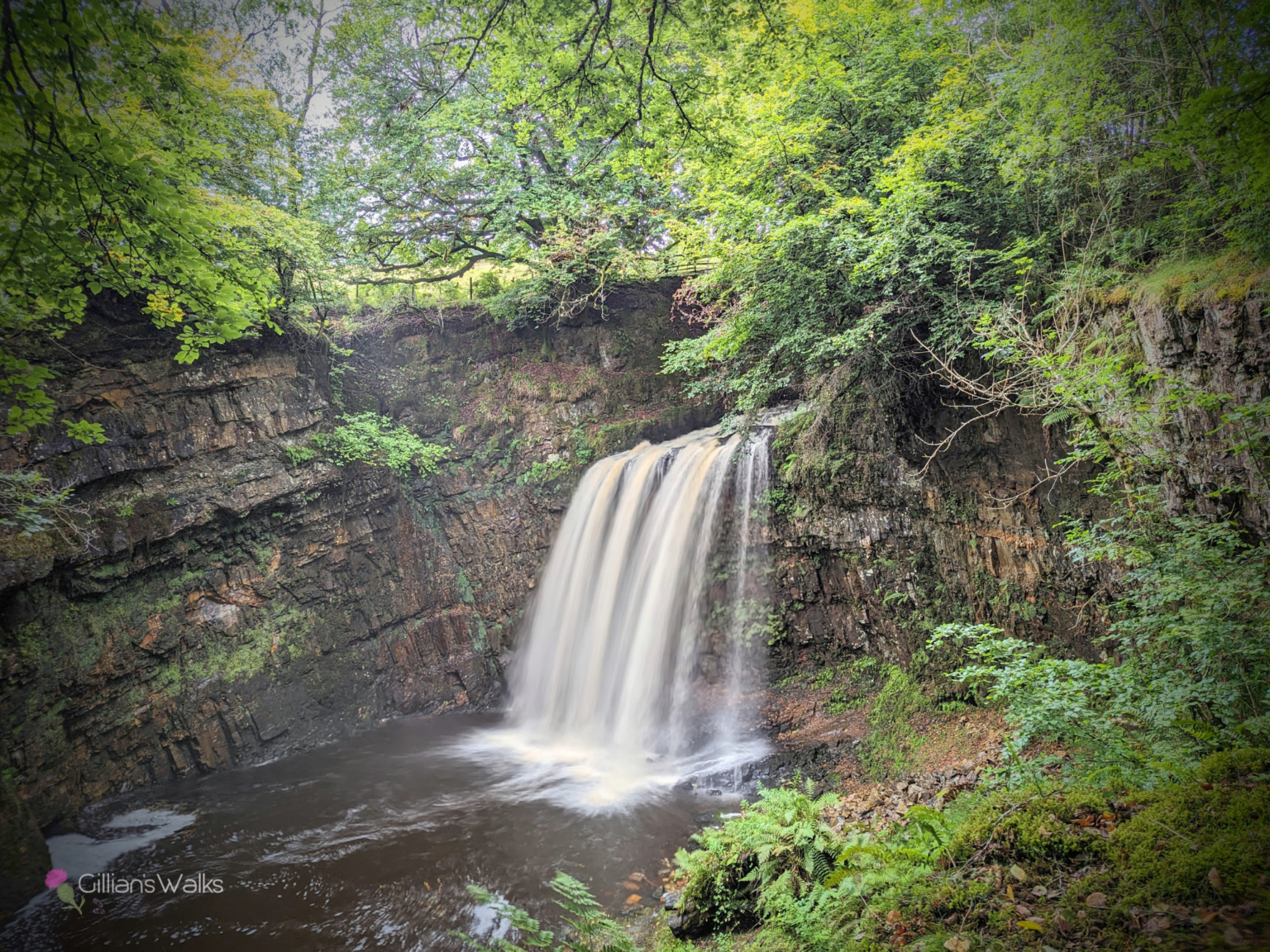 Walk 232 - Ness Glen & Dalcairney Falls - 9 miles - Gillian's Walks