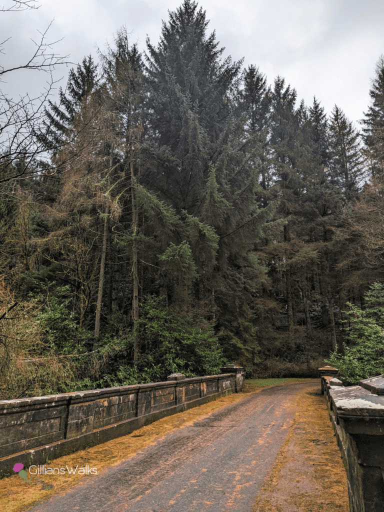 Walk 231 - Lanfine Estate from Darvel - 3.7 miles - Gillian's Walks