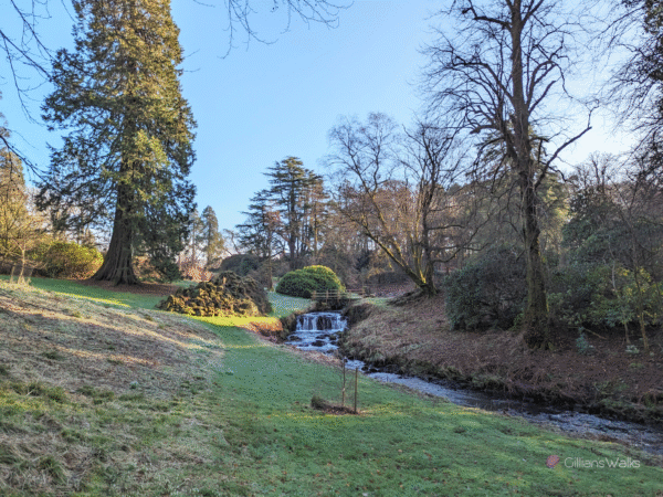 Walk 233 - Blair Estate, Dalry - 2.5 miles - Gillian's Walks