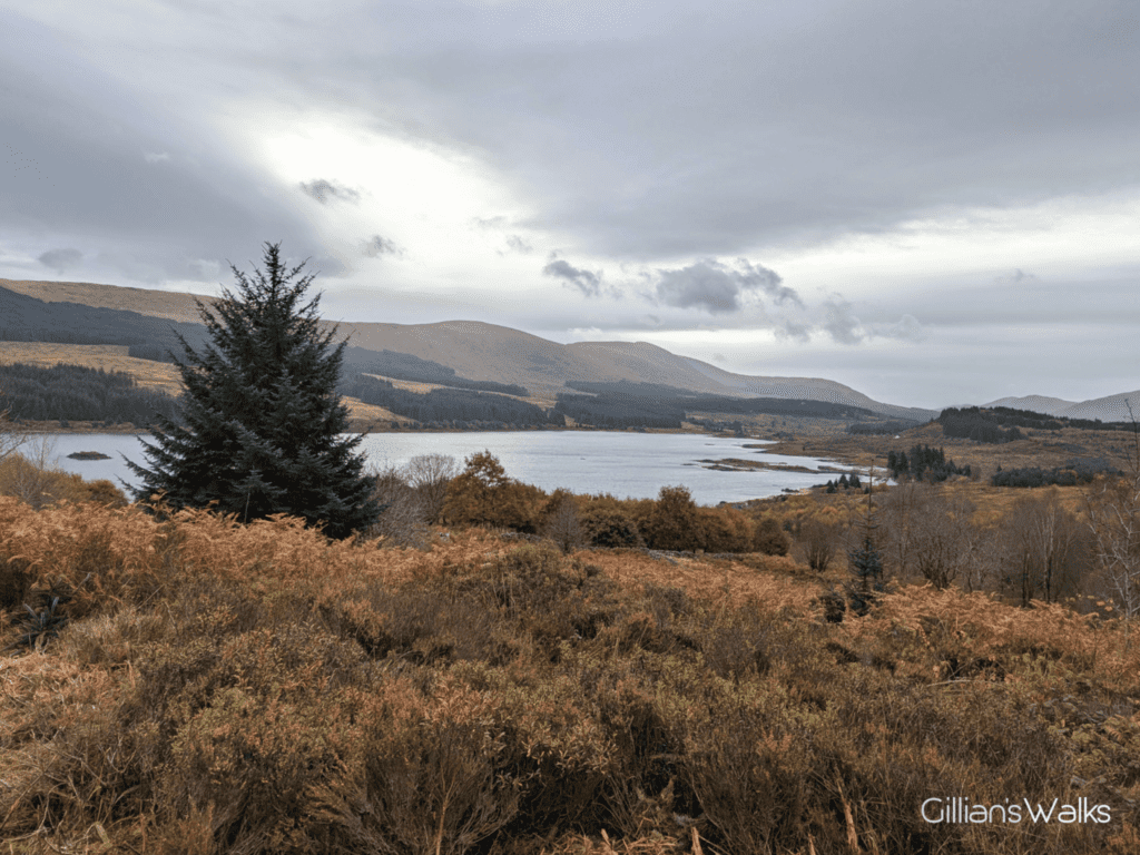 Walk 243 - Forest Trail: Loch Doon Castle to Loch Finlas - 8.2 miles ...