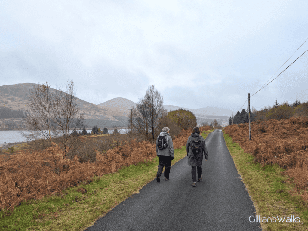 Walk 243 - Forest Trail: Loch Doon Castle to Loch Finlas - 8.2 miles ...