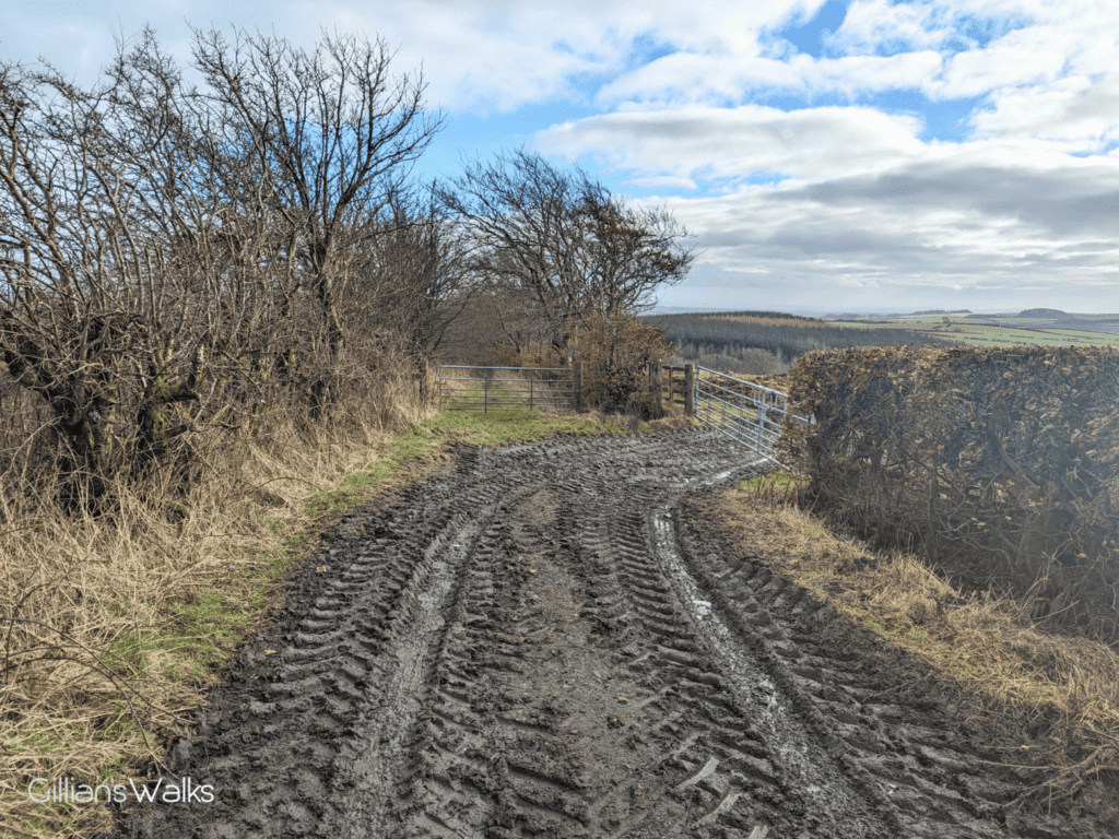 Walk 245 - Doggartland & the Velvet Path, Dalry - 3.5 miles - Gillian's ...