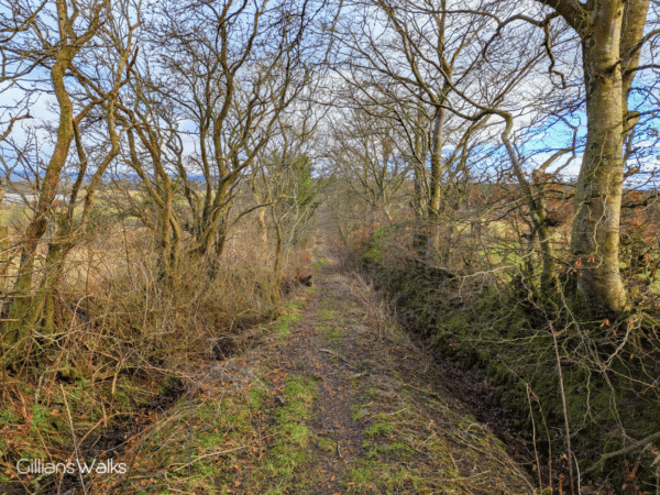 Walk 245 - Doggartland & the Velvet Path, Dalry - 3.5 miles - Gillian's ...