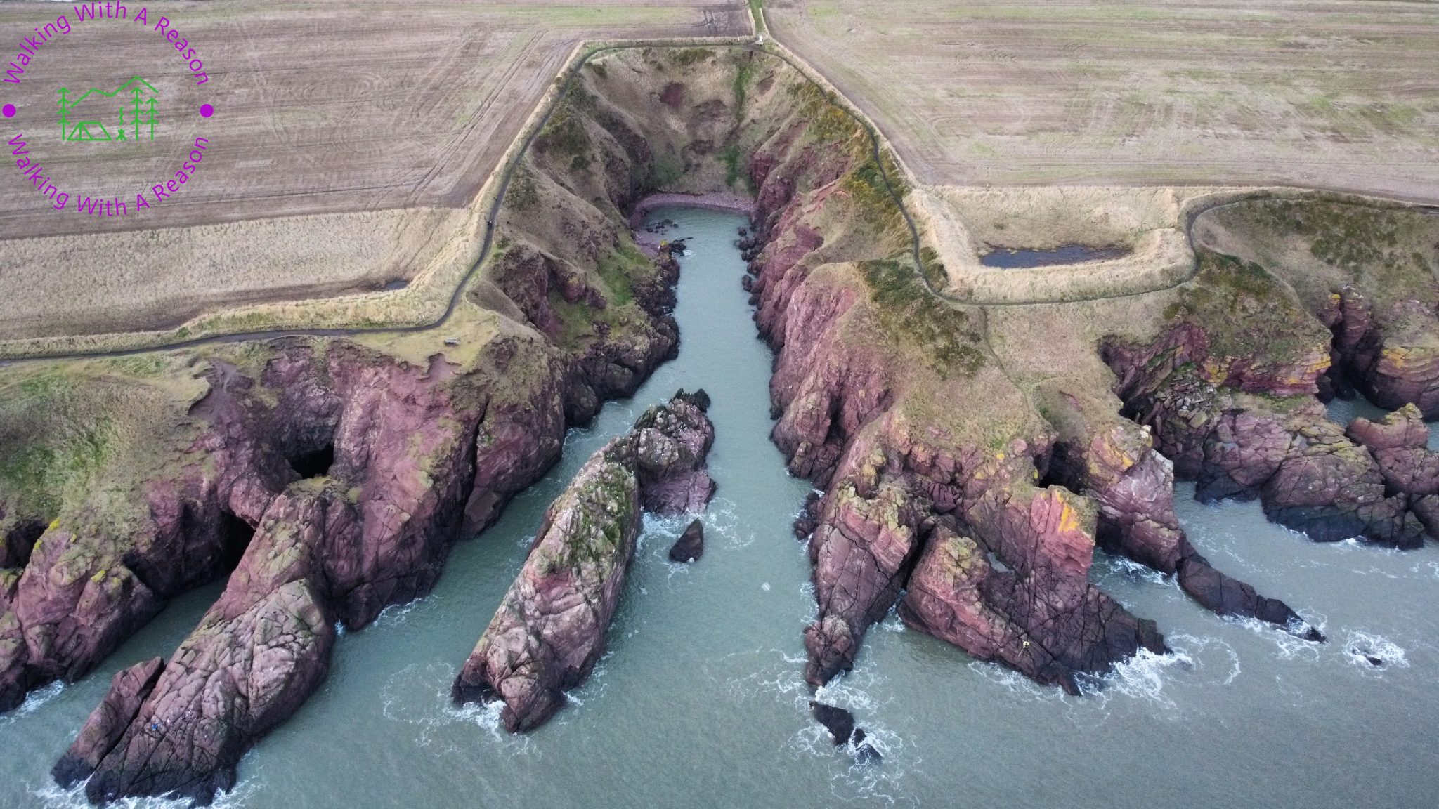 Walk 258 - The Arbroath Cliff Trail (Victoria Park to Carlingheugh Bay ...