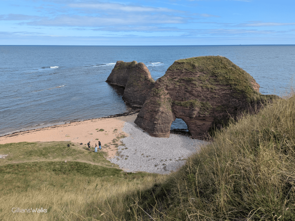 Walk 258 - The Arbroath Cliff Trail (Victoria Park to Carlingheugh Bay ...