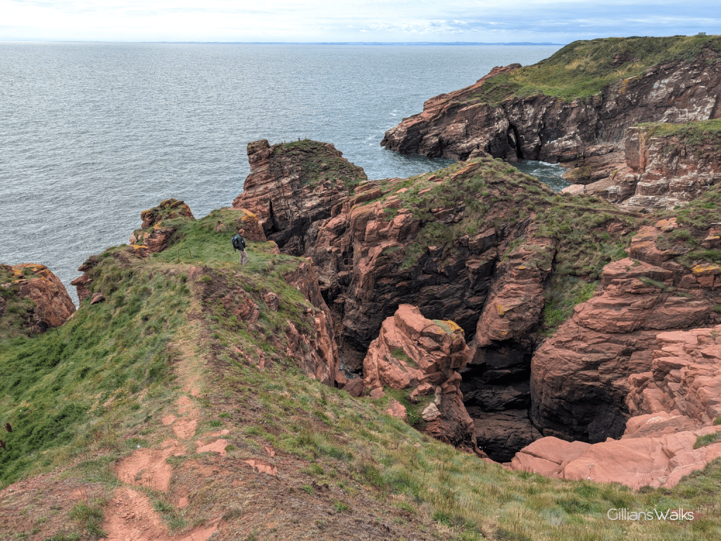 Walk 258 - The Arbroath Cliff Trail (Victoria Park to Carlingheugh Bay ...