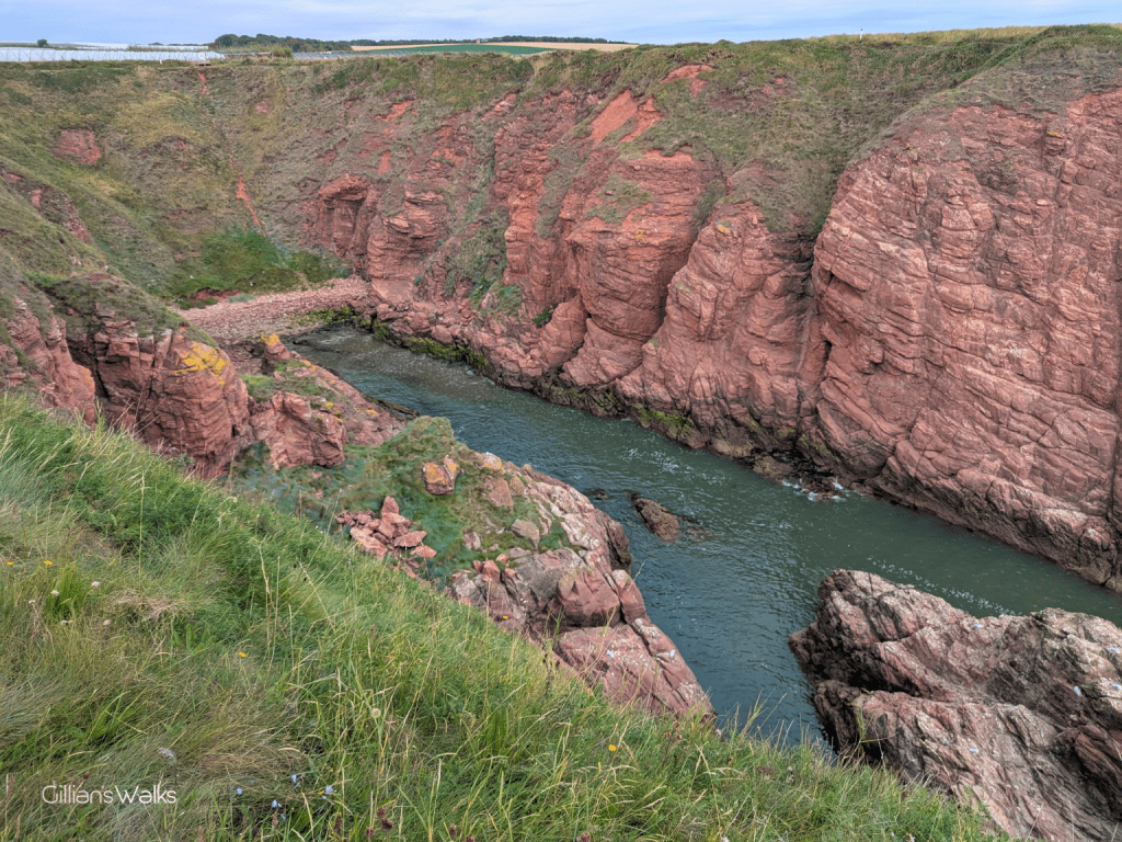 Walk 258 - The Arbroath Cliff Trail (Victoria Park to Carlingheugh Bay ...