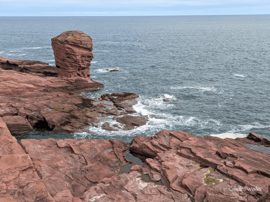 Walk 258 - The Arbroath Cliff Trail (Victoria Park to Carlingheugh Bay ...