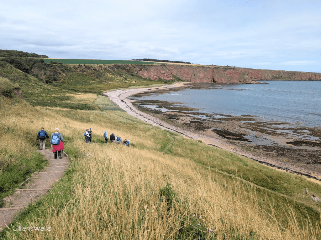 Walk 258 - The Arbroath Cliff Trail (Victoria Park to Carlingheugh Bay ...
